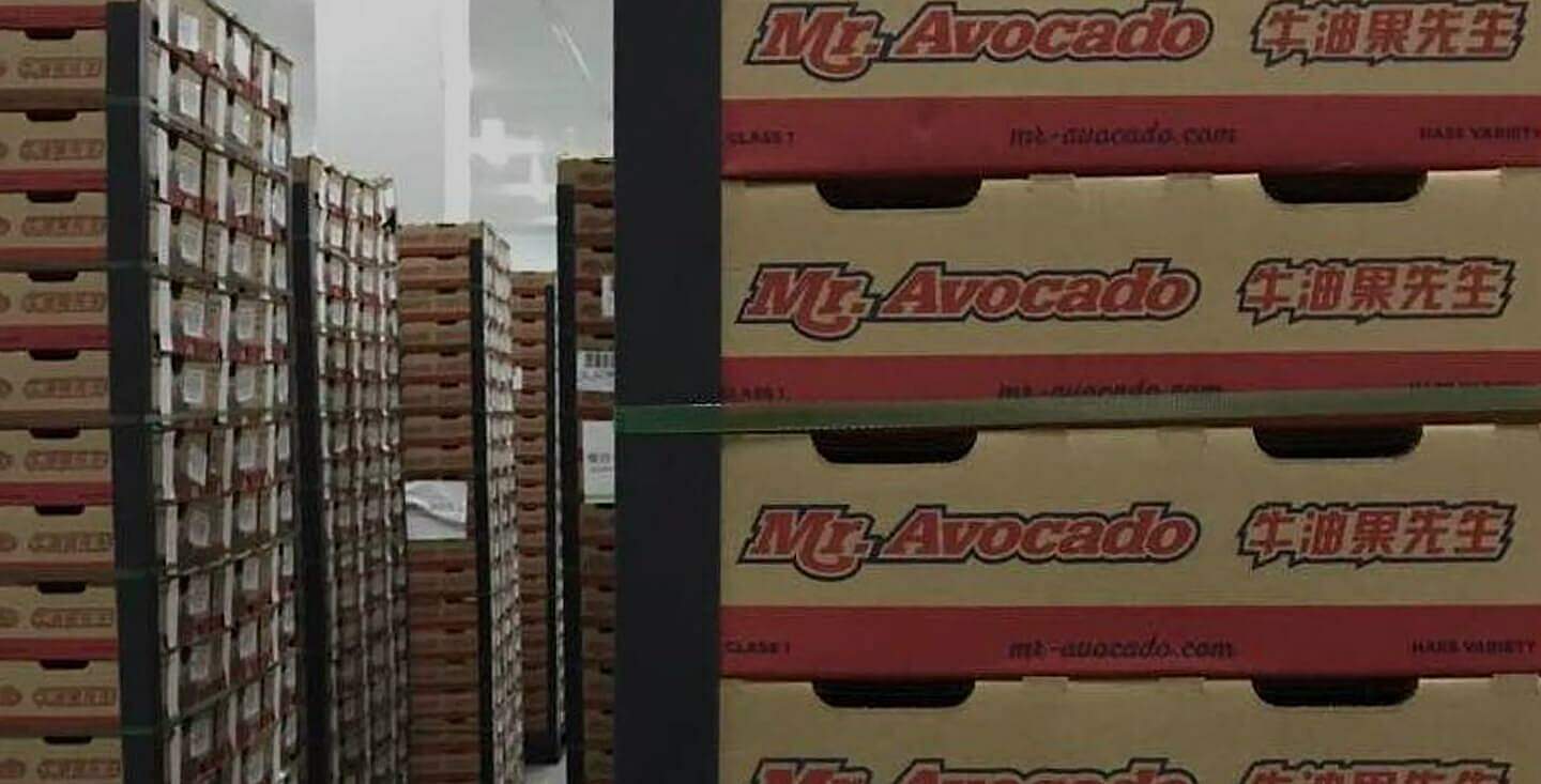 Mission Global - Mission Produce