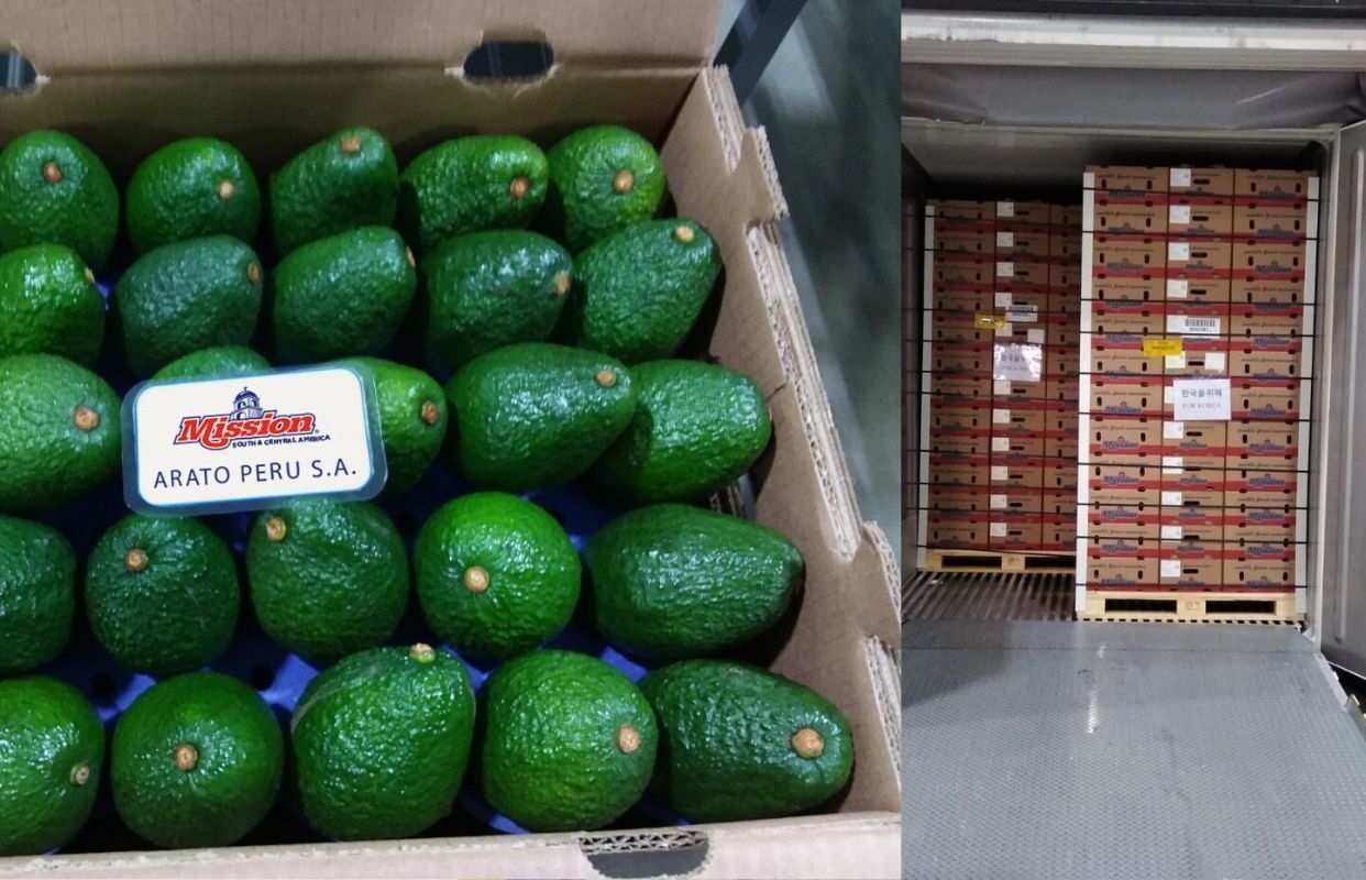 Mission Produce, Inc. Ships First Peruvian Hass Avocados to South Korea ...